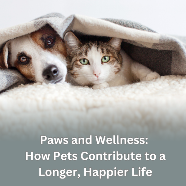 How Having Pets is Good for Health and Longevity - BioStack